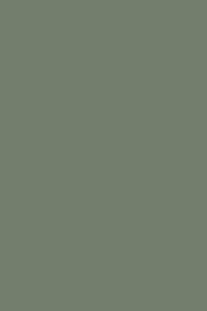 Farrow and Ball Card Room Green No. 79 Paint | Alexander Interiors ... Farrow and Ball Card Room Green No. 79 Paint | Alexander Interiors ...